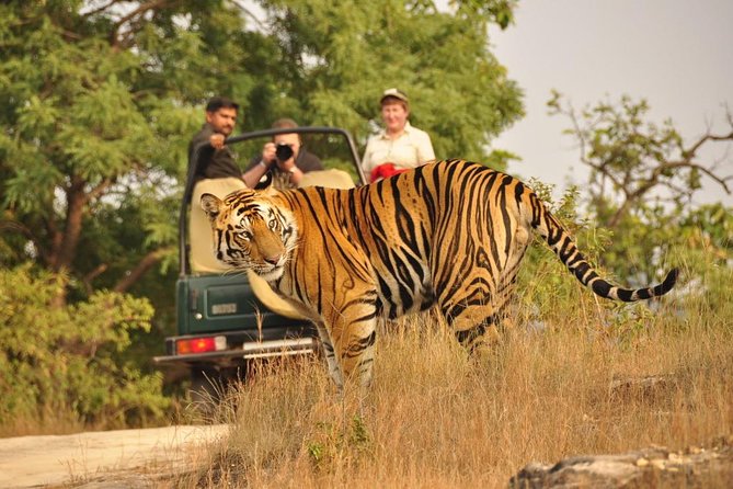 Golden Triangle with Wildlife and Royal Castle Stay - FAQs