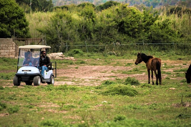 Golf Car Hire in Porto Conte Natural Park - Exploring the Magic of Porto Conte Natural Park by Golf Car