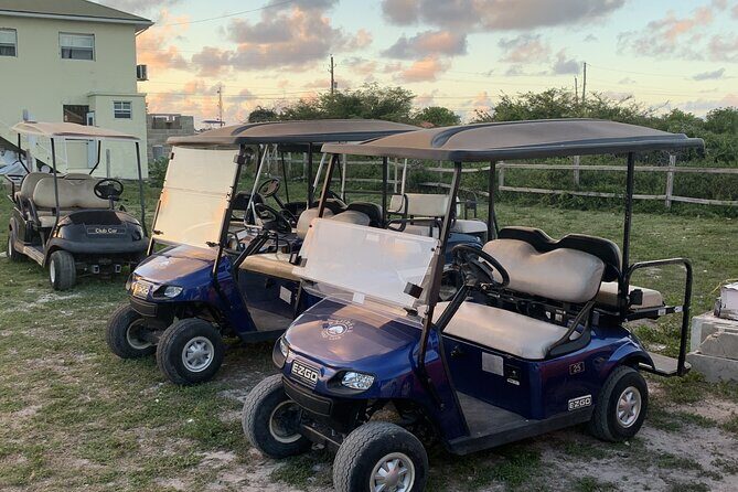 Golf Cart Adventure MaxKart Auto Rentals - Who Should Consider This Experience?
