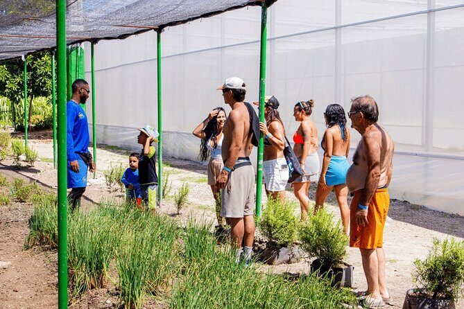 Golf Cart Eco Tour Half Day Tour - Who Will Love This Tour?