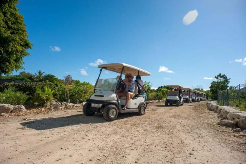 Golf Cart Eco Tour Half Day Tour - Discovering the Eco Charm of Punta Cana: A Detailed Look at the Golf Cart Half Day Tour
