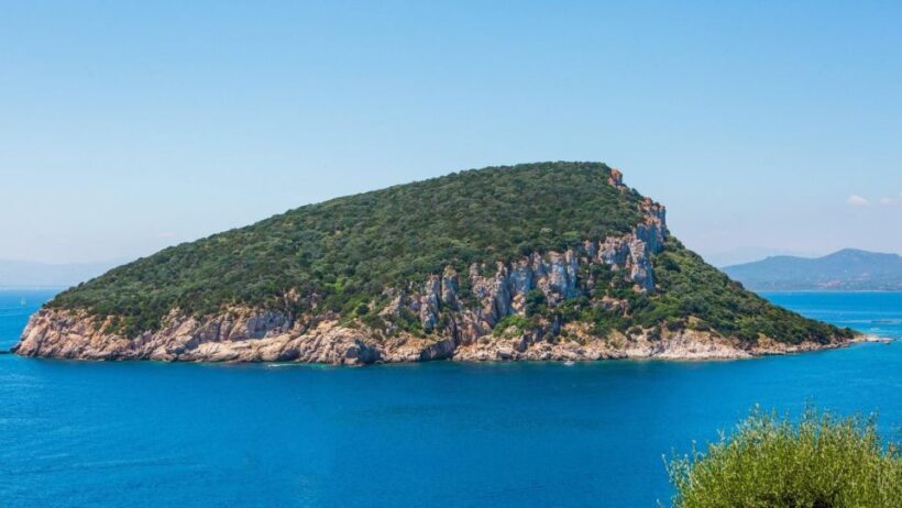 Golfo Aranci: Dolphin Watching and Snorkeling Boat Tour - A Practical Guide to the Dolphin Watching and Snorkeling Tour