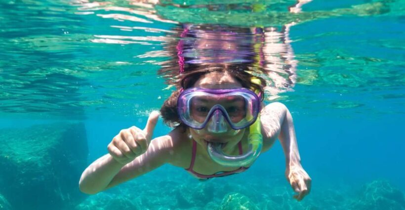Golfo Aranci: Dolphin Watching and Snorkeling Boat Tour - What Travelers Say: Authentic Experiences