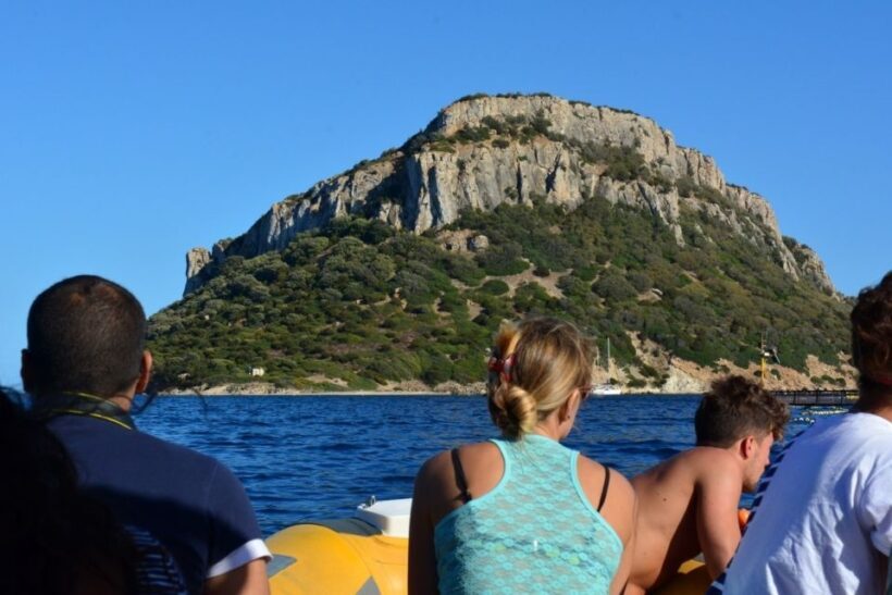 Golfo Aranci: Dolphin Watching and Snorkeling Boat Tour - Final Thoughts