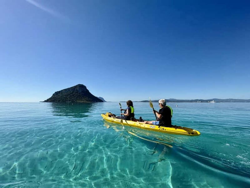 Golfo Aranci: German guided Kayak tour, Aperitif & Dolphins - Final Thoughts