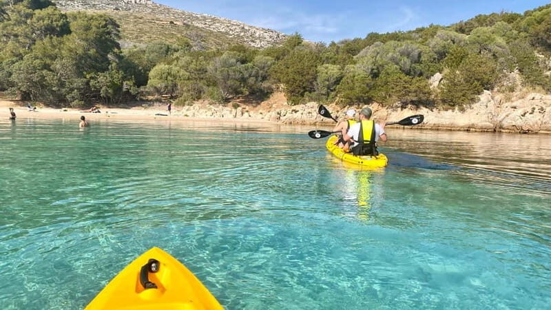 Golfo Aranci: German guided Kayak tour, Aperitif & Dolphins - FAQ