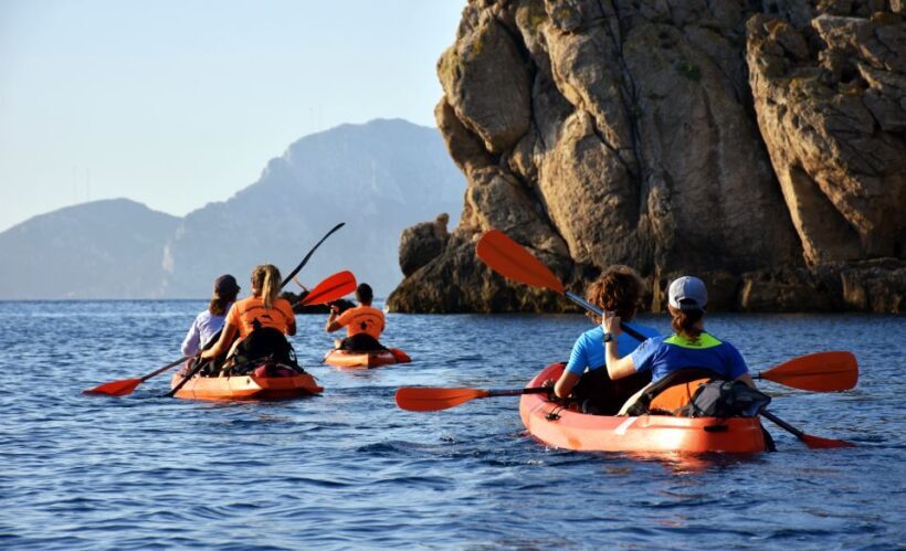 Golfo Aranci: Kayak Tour with Dolphins and Aperitif - An Overview of the Tour Experience