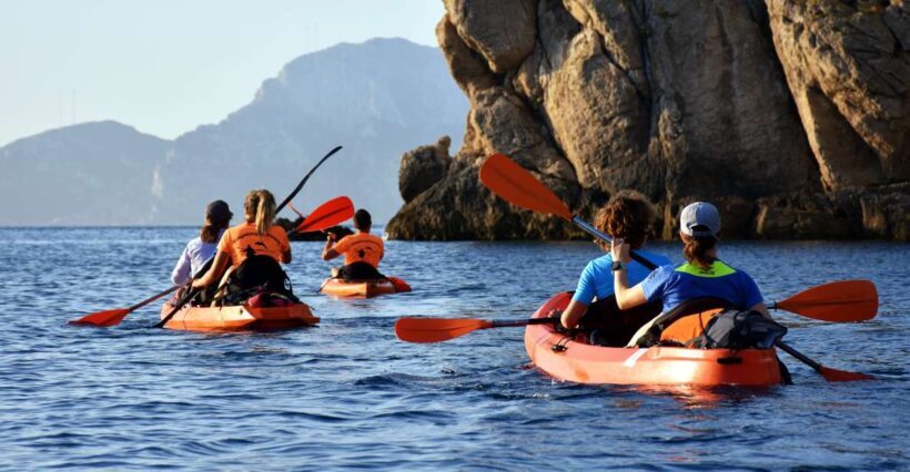 Golfo Aranci: Kayak Tour with Dolphins and Aperitif - Authenticity and Reviews from Participants