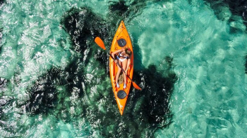 Golfo Aranci: Kayak Tour with Dolphins and Aperitif - Who is This Tour Best For?