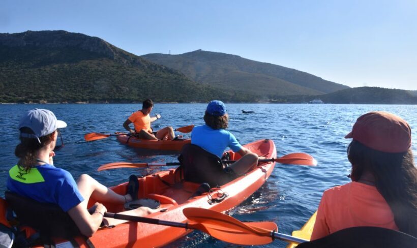 Golfo Aranci: Kayak Tour with Dolphins and Aperitif - FAQ