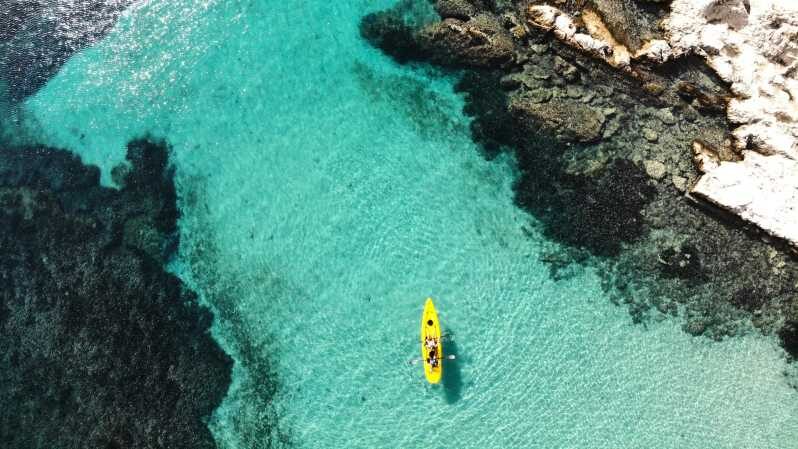 Golfo Aranci: Small group Kayak tour with Aperitif &dolphins - What’s Included and What to Bring