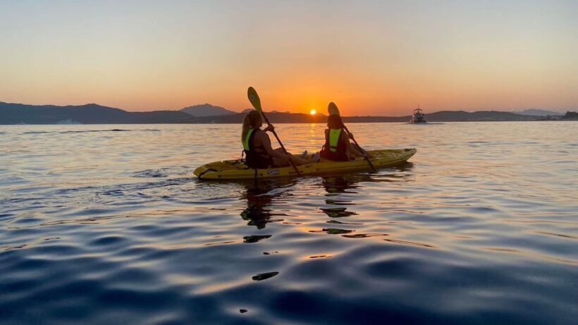 Golfo Aranci: Small group Kayak tour with Aperitif &dolphins - Who Will Love This Tour?