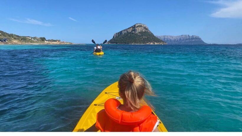 Golfo Aranci: Small group Kayak tour with Aperitif &dolphins - The Sum Up