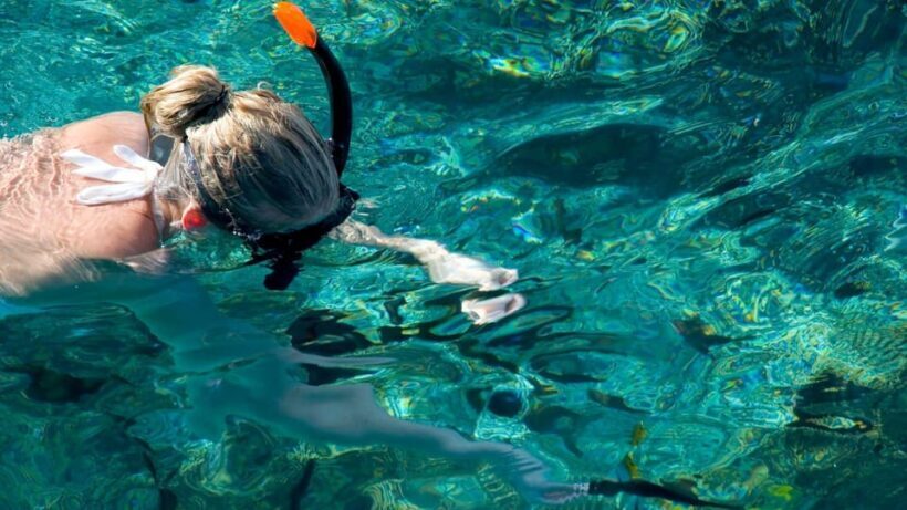 Golfo Aranci: snorkelling in Cala Moresca - What to Expect from the Snorkeling Adventure