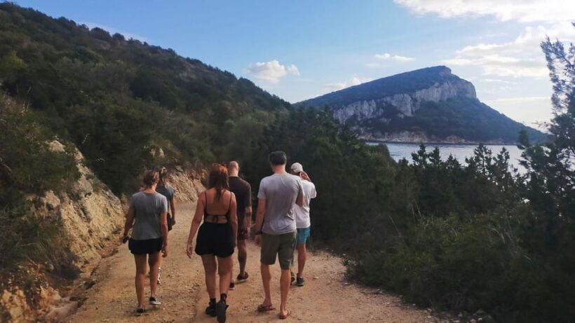 Golfo Aranci: snorkelling in Cala Moresca - Who Will Love This Experience?