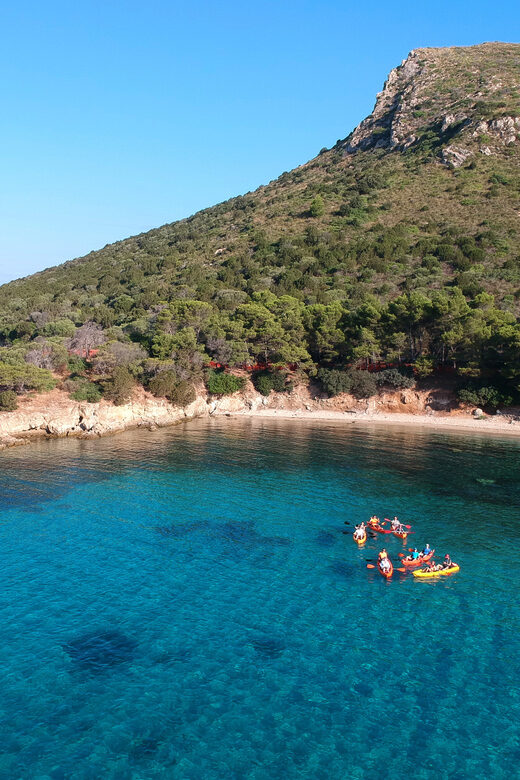 Golfo Aranci: Sunrise Dolphin Kayak Tour with Breakfast - The Journey and Its Highlights