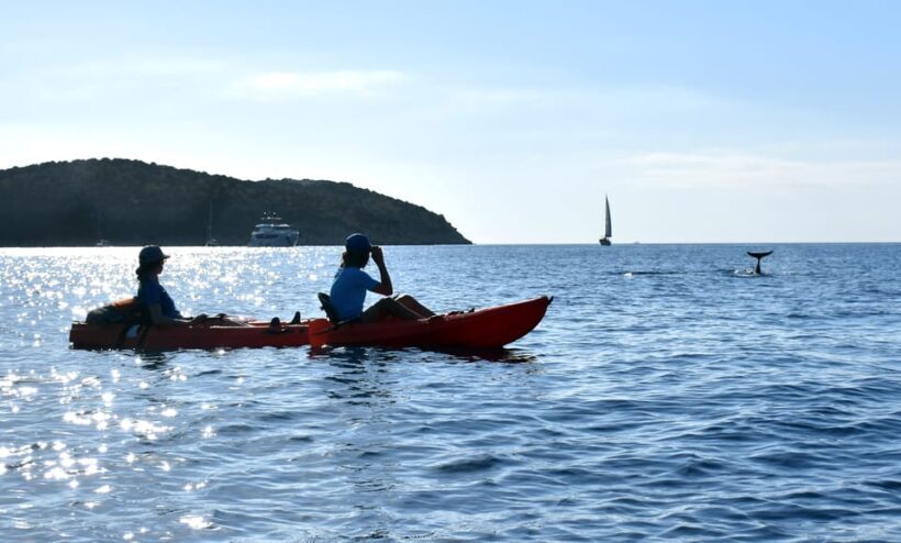 Golfo Aranci: Sunrise Dolphin Kayak Tour with Breakfast - Authenticity and Reviews