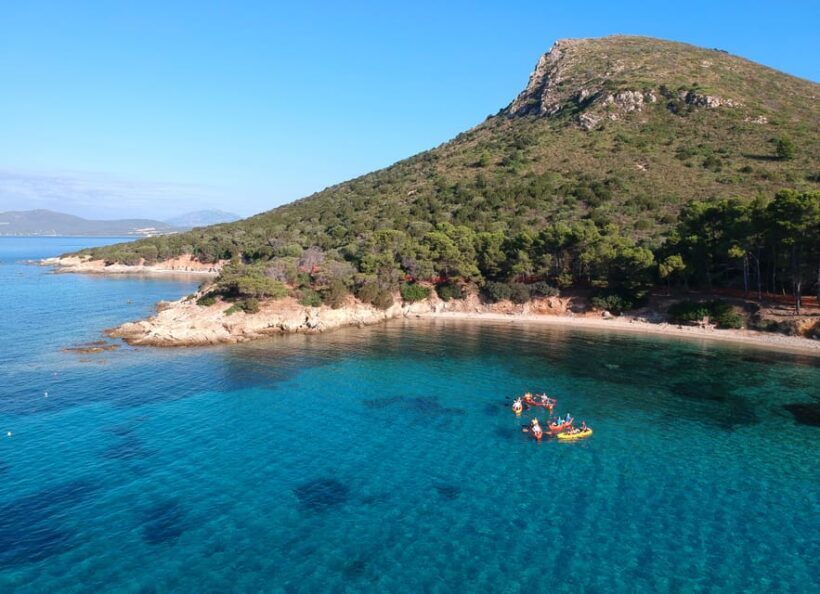 Golfo Aranci: Sunrise Dolphin Kayak Tour with Breakfast - Who Would Love This Tour?