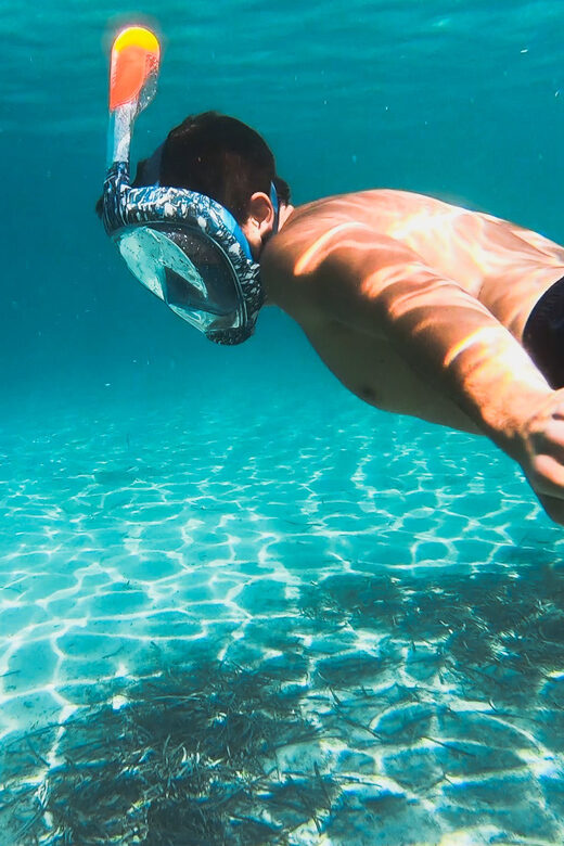 Golfo Aranci: Sunset Dolphin Kayak Tour with Aperitif - The Sum Up