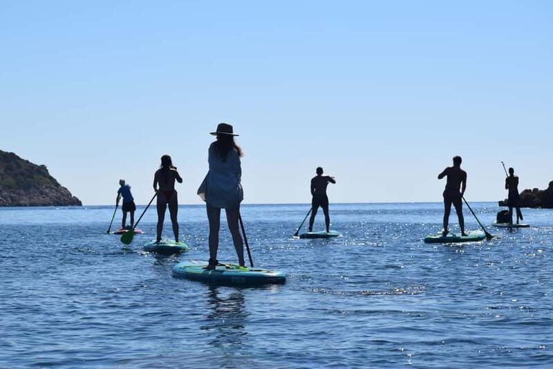 Golfo Aranci: Sup with dolphins, aperitif & photo shoot - Final Thoughts