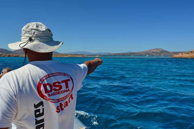 Golfo Aranci: Tavolara and Molara Snorkeling Dinghy Tour - Who Will Love This Tour?