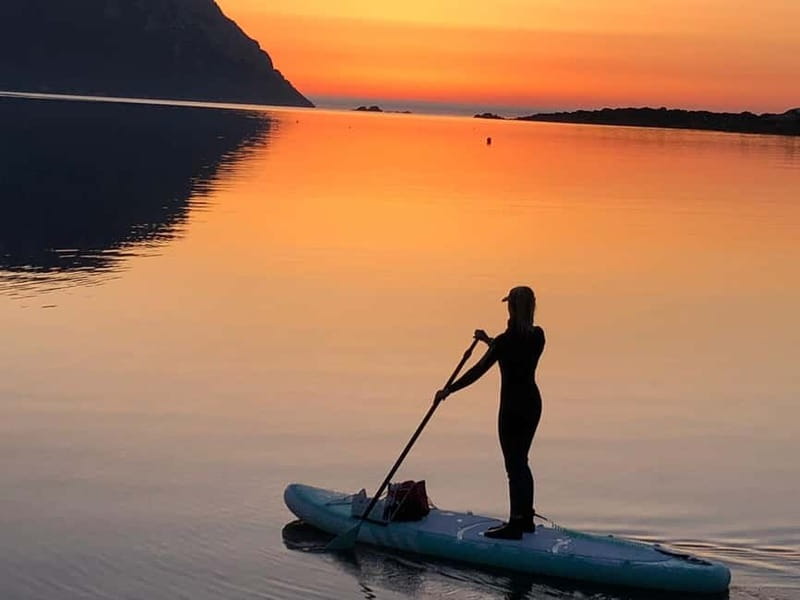 Golfo Aranci tour SUP Paddleboard Dolphin watching, aperitif - FAQ