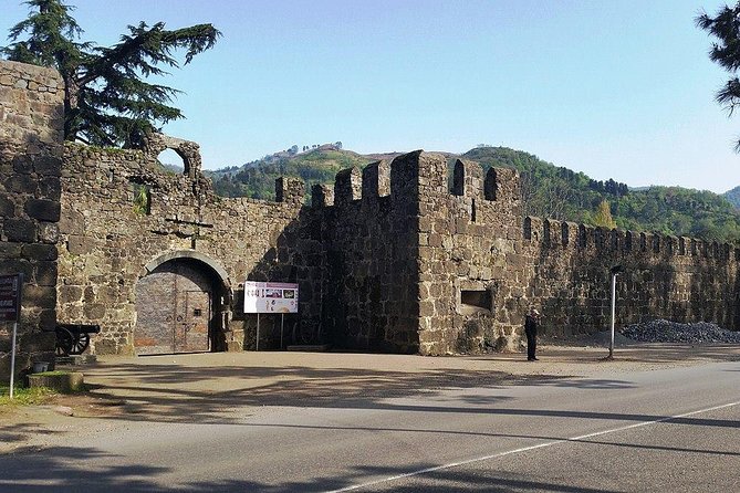 Gonio and Adjarian Highland Tour - Wine Tasting: A Flavourful Bonus