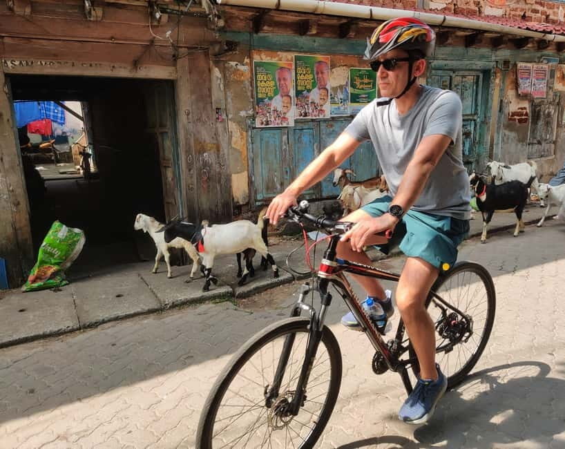Good Morning Kochi Bicycle Tour - Comparing This Tour to Similar Experiences