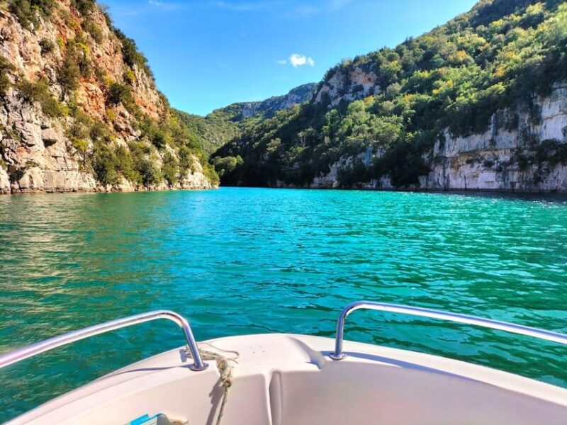 Gorges du Verdon: lavenders, canyon boat picnic & villages - Who This Tour Is Perfect For