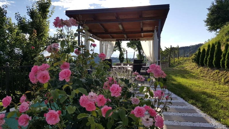 Gorika Brda: Wine Tasting with Local Snacks - Introducing Gorika Brda’s Wine Tasting Experience