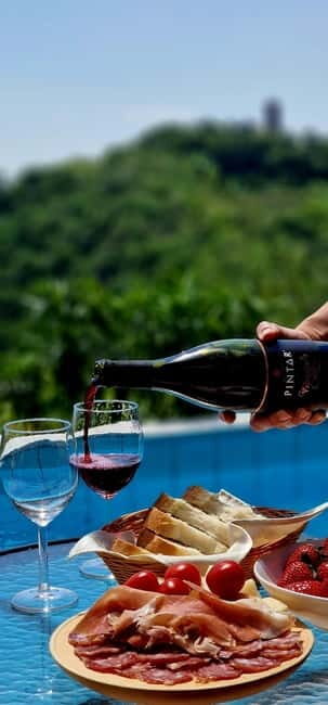 Gorika Brda: Wine Tasting with Local Snacks - The Setting and Atmosphere