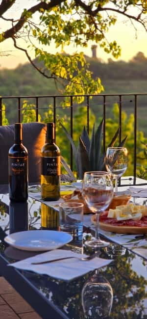 Gorika Brda: Wine Tasting with Local Snacks - Who Will Love This Tour?