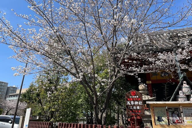 Goshuin Collecting tour at Asakusa Local Temples & Shrines, Tokyo - What You Can Expect