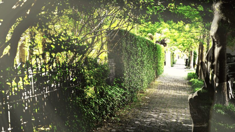 Gossip & Grandeur: A Stroll Through NOLAs Garden District - Authentic Experiences and Real Traveler Feedback