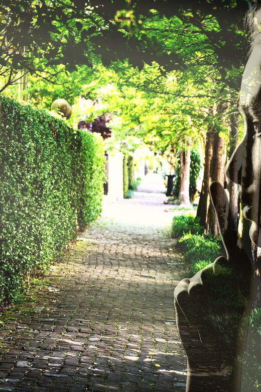 Gossip & Grandeur: A Stroll Through NOLAs Garden District - Final Thoughts