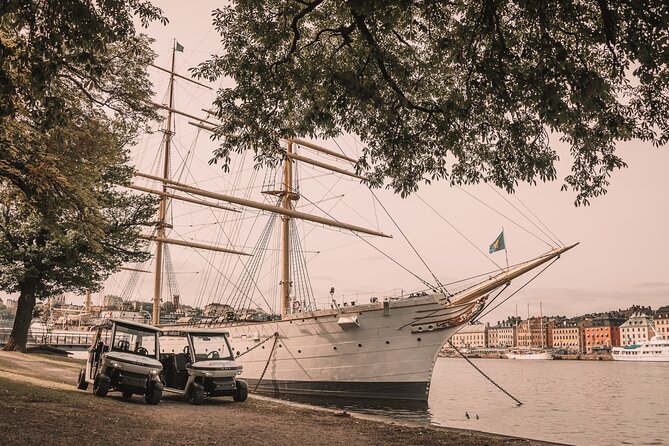 GoStockholm Highlights Private Tour by Golf Cart - Tour Guide and Customer Feedback