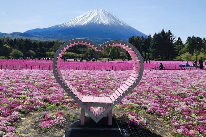 Gotemba Premium Outlets and Konohana no Yu Private Tour - Analyzing the Value