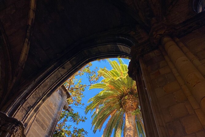 Gothic Quarter & Picasso Museum Private Tour - Customer Feedback and Reviews