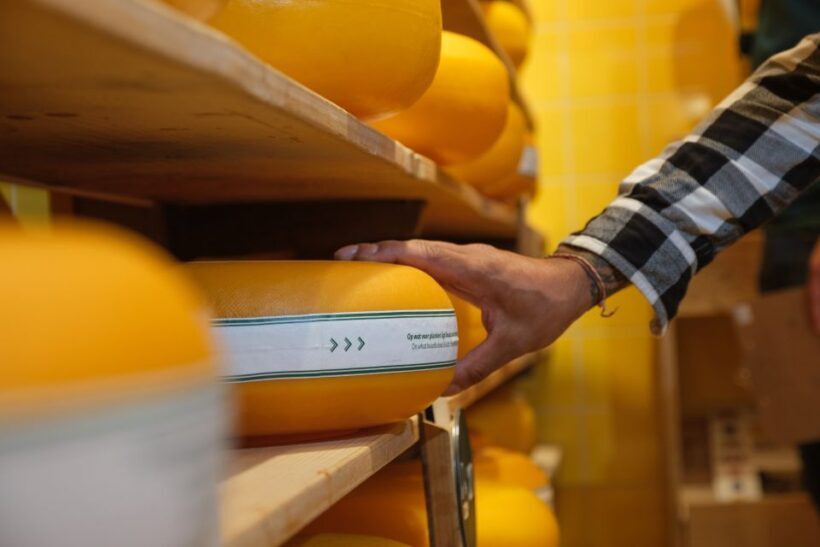 Gouda: Gouda Cheese Experience Entry Ticket - In-Depth Breakdown of the Experience