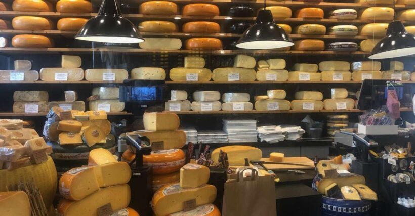 Gouda, Witches & Cheese Tour - Final Thoughts: Who Will Love This Tour?