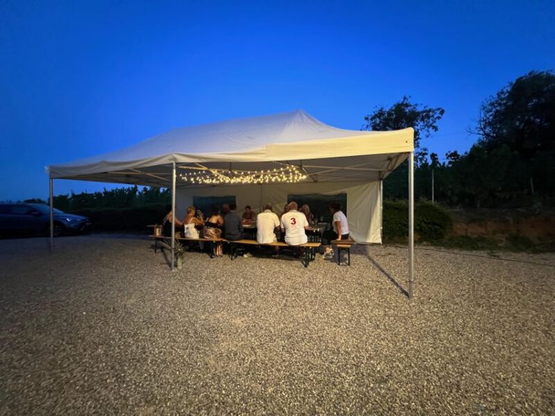 Gourmet Aperitif at the Independent Winegrower - Who Will Enjoy This Tour?