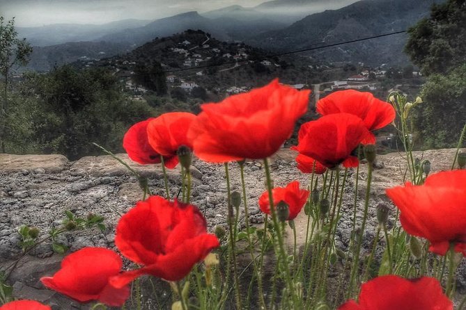 Gourmet Cooking Class & Culture in the Rural Montes De Malaga. - Booking Information
