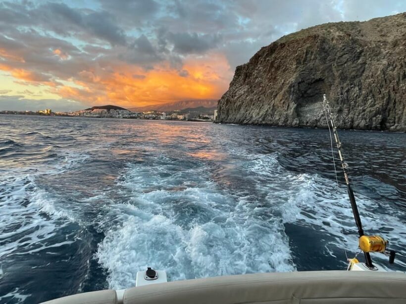 Gourmet cruise at sunset with whale watching - Key Points