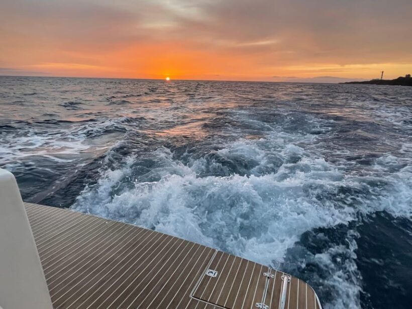 Gourmet cruise at sunset with whale watching - The Adventure Begins at Marina South