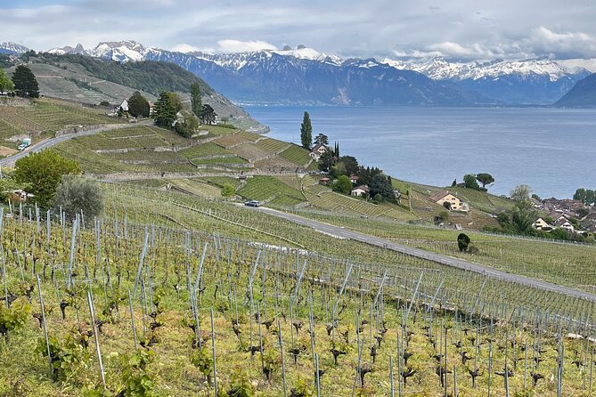 Gourmet Food and Wine Tasting Walk in Lavaux - Exploring the Lavaux Vineyards