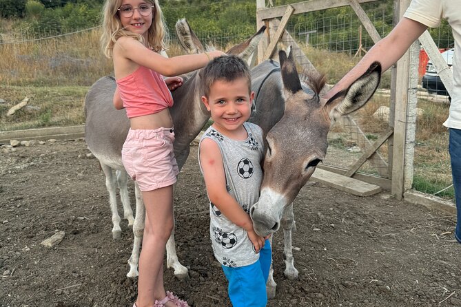 Gourmet Lunch Farm Tour with Cooking Class - Who Will Enjoy This Tour?
