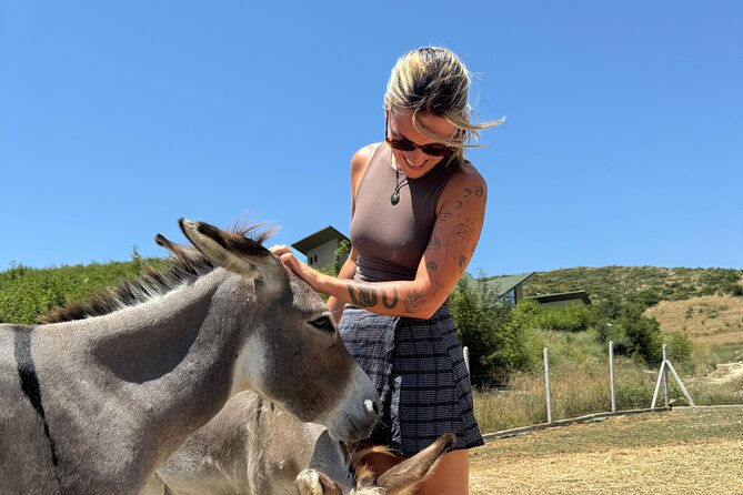 Gourmet Lunch Farm Tour with Cooking Class - Final Summary