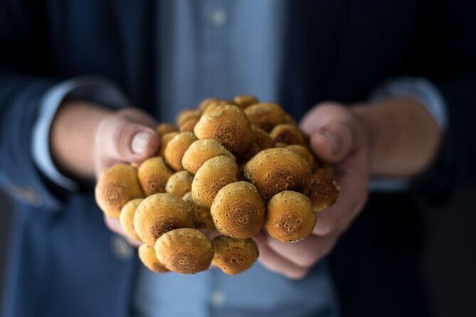 Gourmet Mushroom Farm Tour in Tennessee - Practical Details & What to Expect