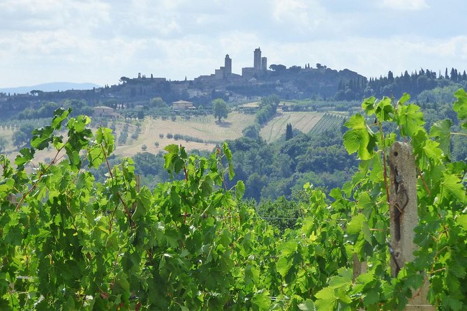 Gourmet Wine Tour San Gimignano Wine Tasting - San Quirico Winery - Booking Details and Accessibility