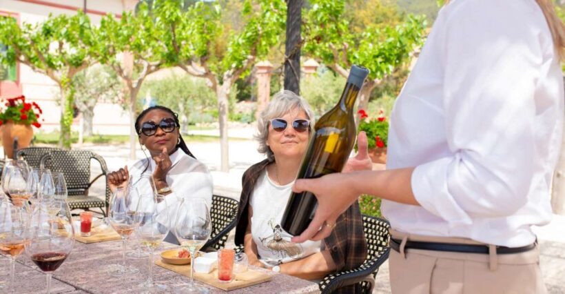 Gourmet Winery Tour: Wine Tasting and 8-Course Gourmet Menu - An In-Depth Look at the Experience